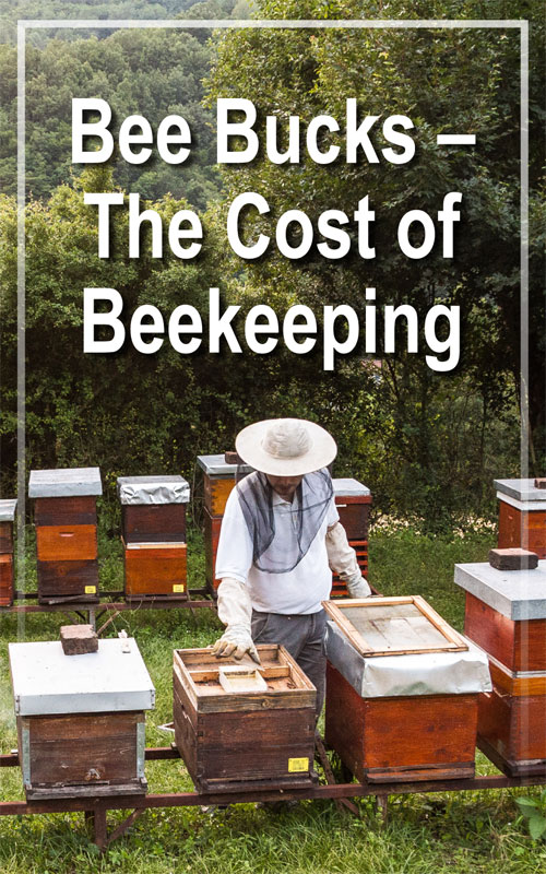 Bee Bucks – The Cost of Beekeeping - Backyard Beekeeping